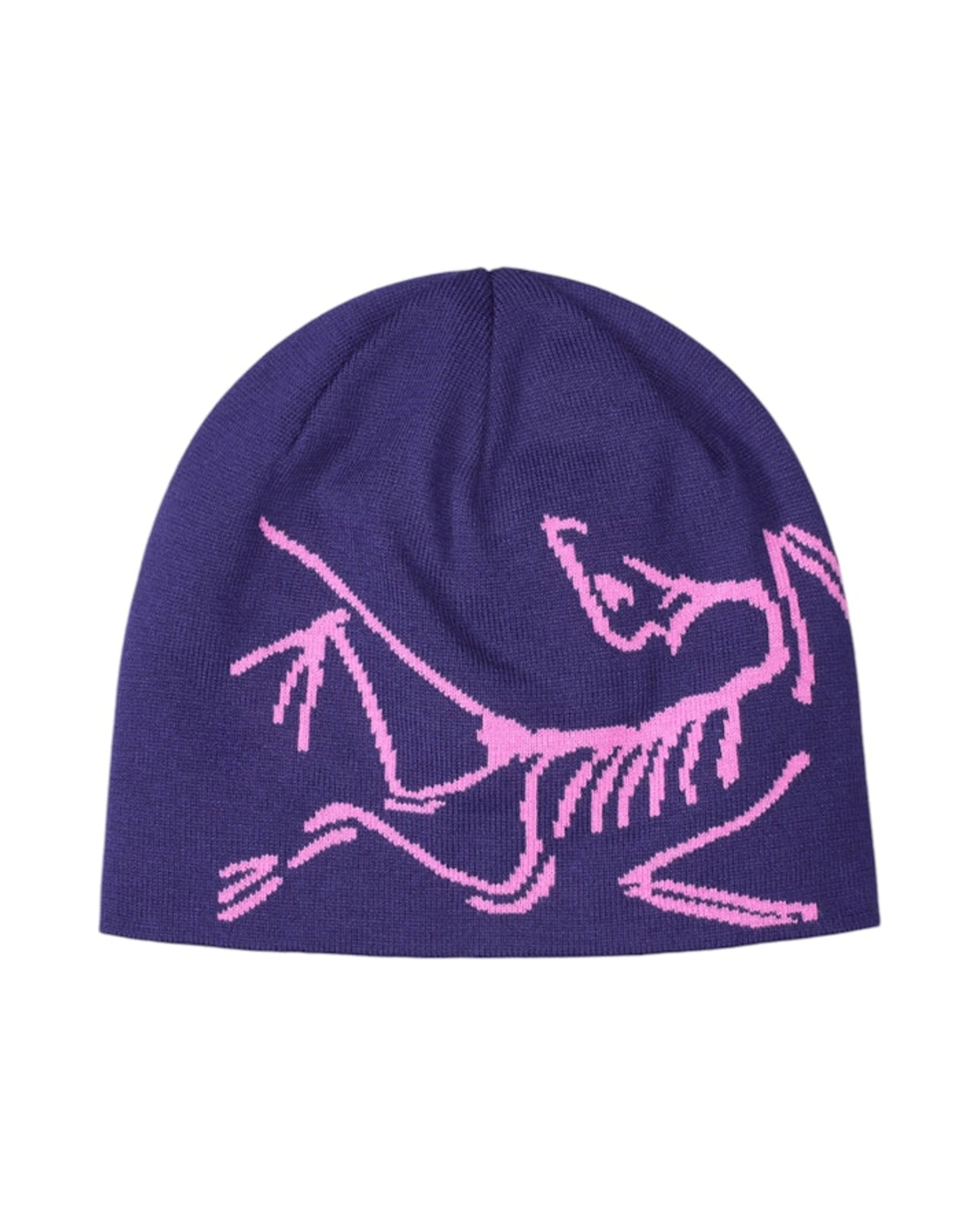 Arc'teryx Bird Head Toque Beanie Soulsonic/Alpen